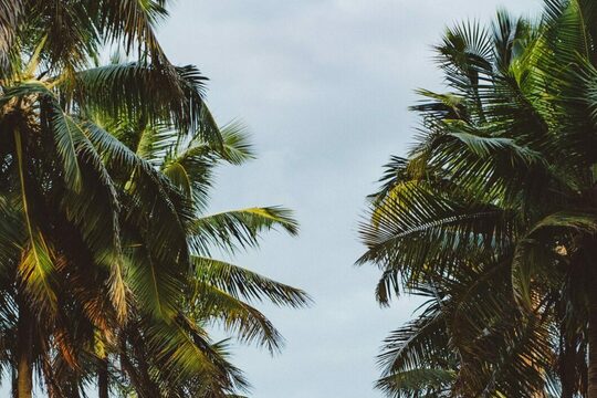 Pode Vim Pedro! | Fotógrafa de Casamento, Diga X Fotografia, Porto de galinhas